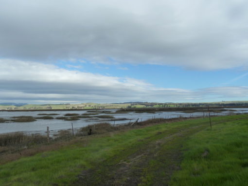 Properties | Marin Audubon Society