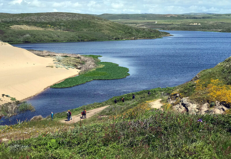 Abbott’s Lagoon and the Inverness Tennis Area - Birding in Marin ...