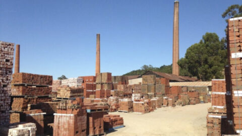 Vaux's Swifts at McNear Brick and Block - San Rafael - Marin Audubon ...