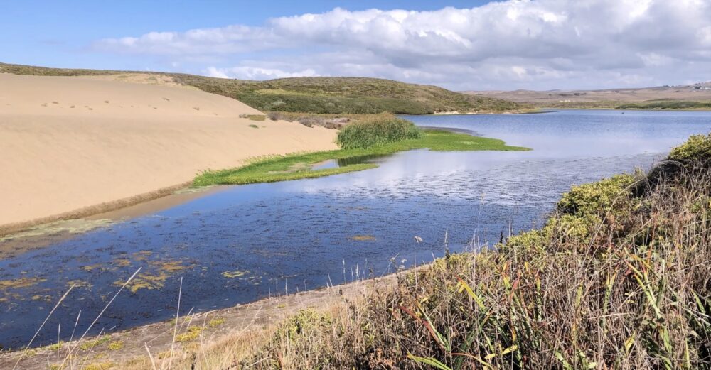 Field Trips - Marin Audubon Society